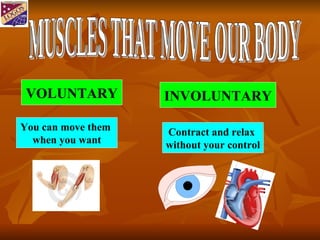 Skeletal System | PPT