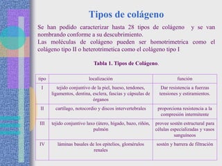 HISTOLOGIA ANIMAL ALTERACIÓN DE FIBRAS COLAGENAS | PPTX