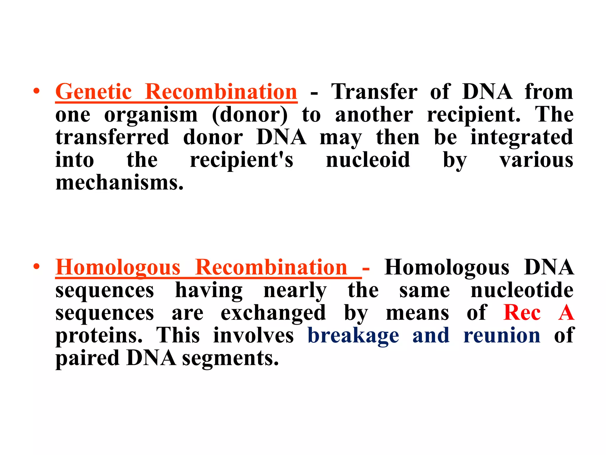 Mechanism of Recombination in Prokaryotes and Eukaryotes FINAL.pptx