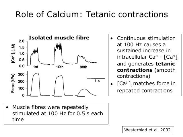 9 muscle ii sr2002 2013 al