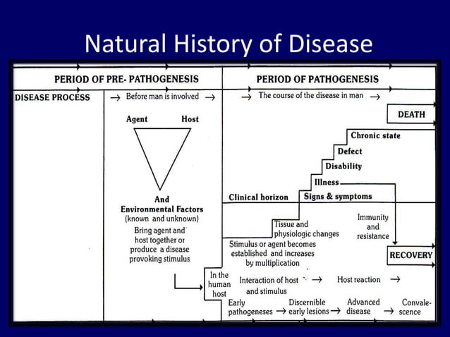 9 Natural history of disease epidemiological triad | PPT | Infectious ...