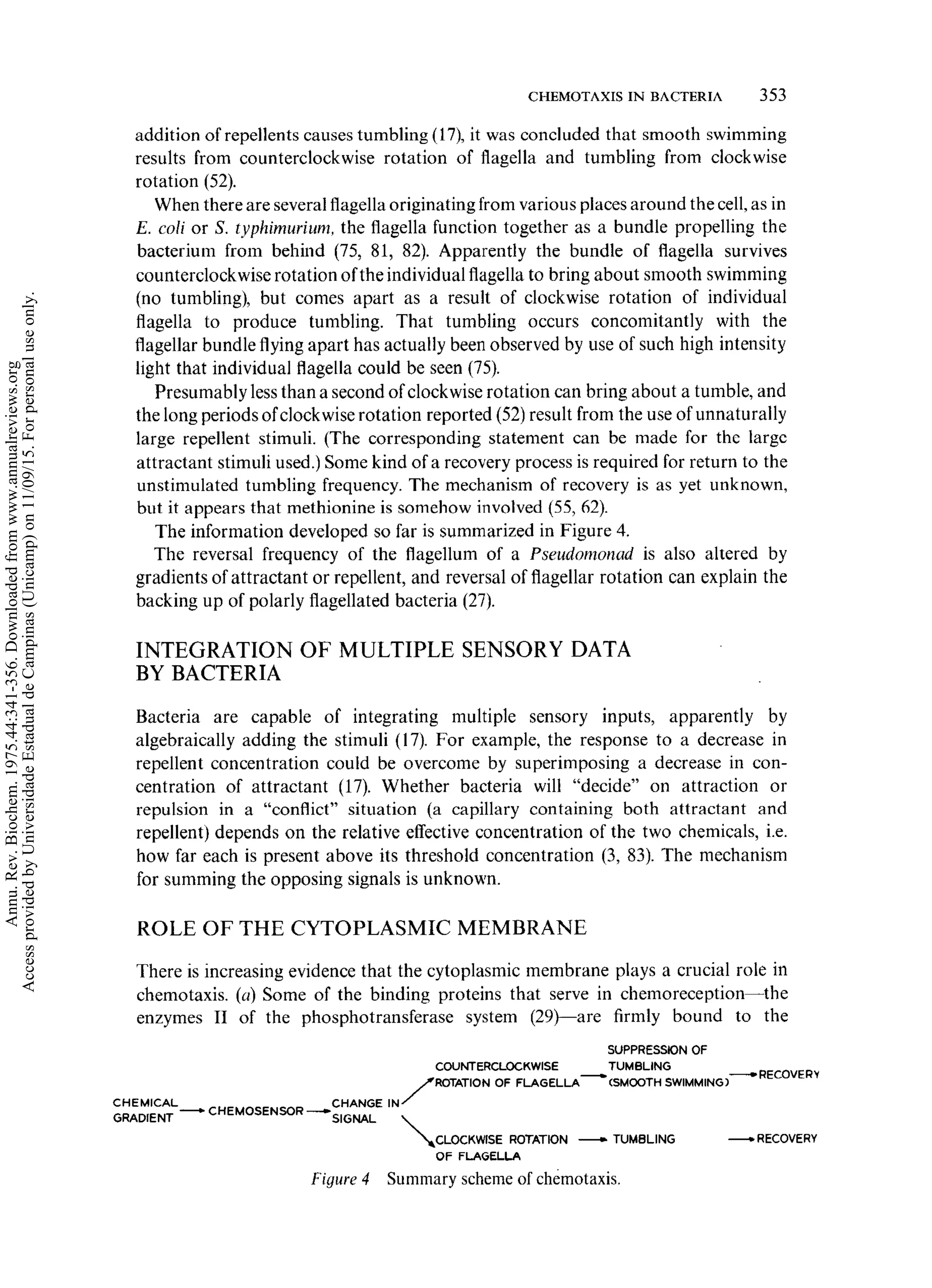 Adler 1975 | PDF