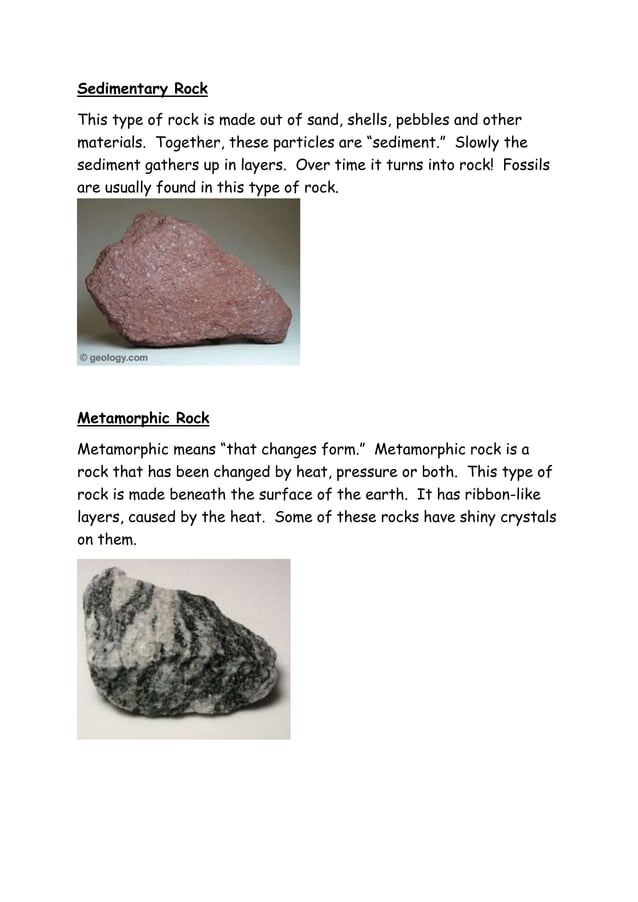 deforestation information for project pdf | DOCX | Geology | Science