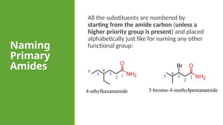 Functional Groups: Nomenclature of Amides.pptx