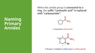 Functional Groups: Nomenclature of Amides.pptx