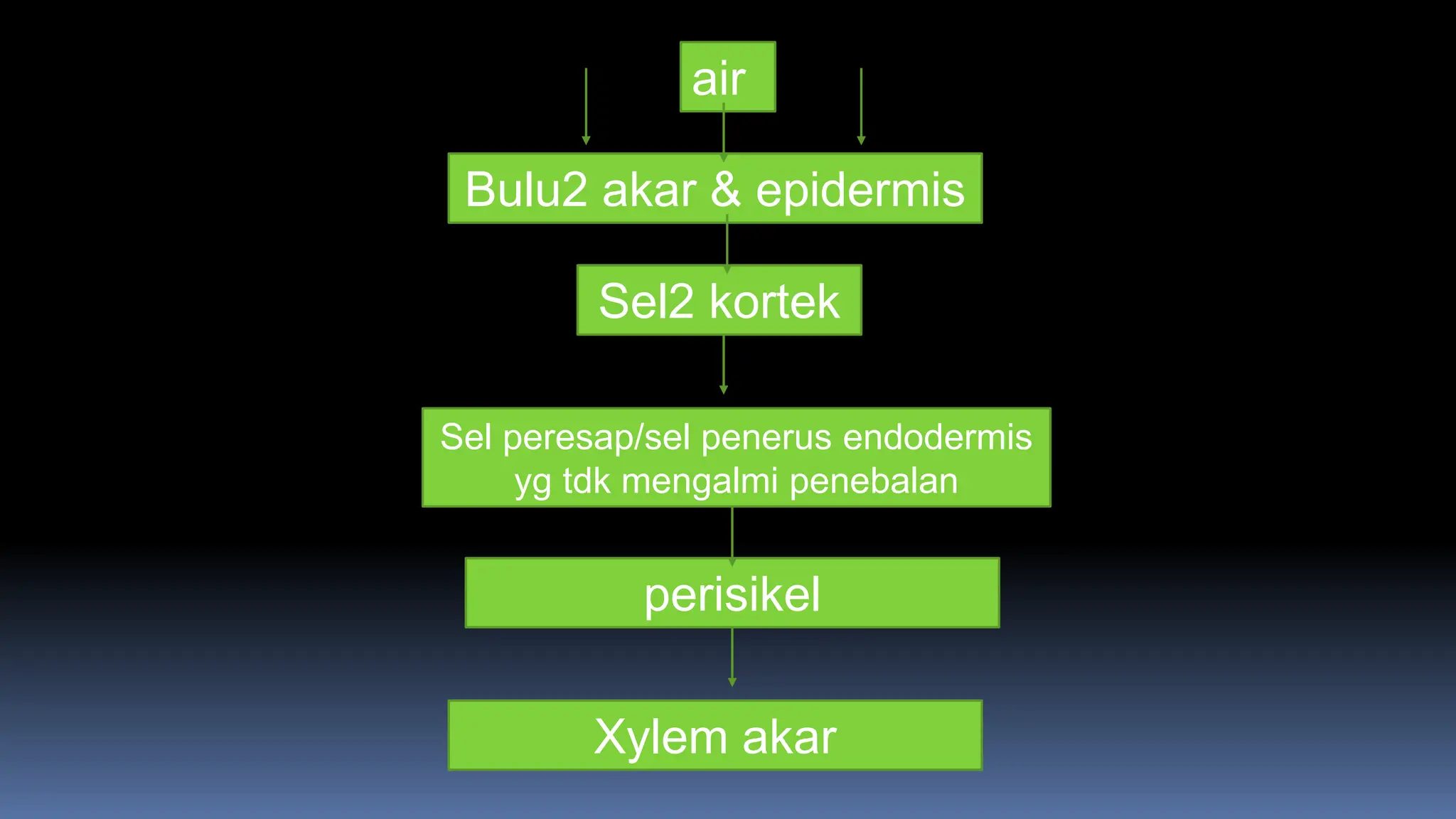 HUBUNGAN_TUMBUHAN_DENGAN_AIR-HUBUNGAN_TUMBUHAN_DENGAN_AIR-2.pptx