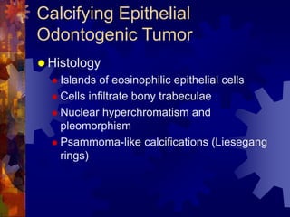 Benign odontogenic tumours of the oral cavity | PPT