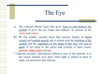 Sensory organs | PPT