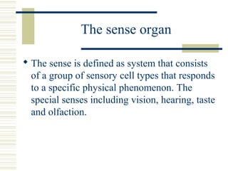 Sensory organs | PPT