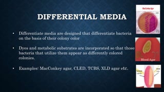 DPT - Physical state of Media | PPT