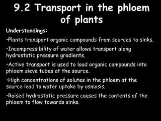 9 plant biology syllabus statements | PPT | Gardening | Home & Garden