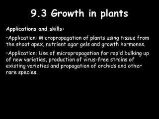 9 plant biology syllabus statements | PPT | Gardening | Home & Garden