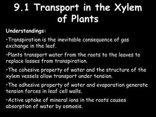 9 plant biology syllabus statements | PPT