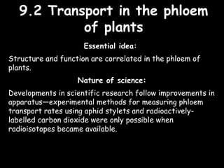 9 plant biology syllabus statements | PPT | Gardening | Home & Garden