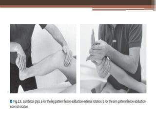 Proprioceptive Neuromuscular Facilitation (PNF) is a therapeutic ...
