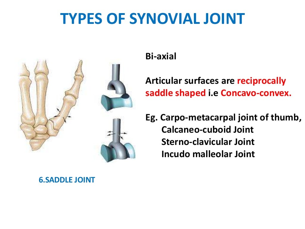 Biarticular Joint
