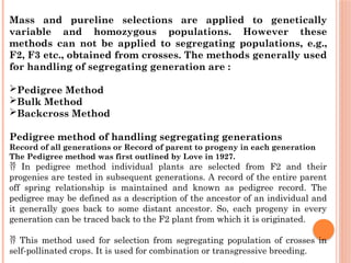 Population dev by Pedigree Back bulk methods.pptx