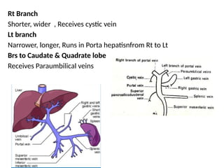 9 Portal-vein-an-portocaval-anastomosis.pptx