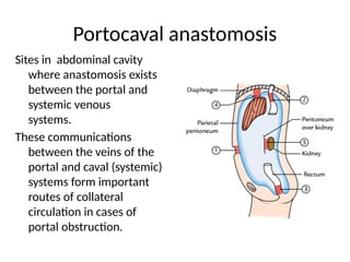 9 Portal-vein-an-portocaval-anastomosis.pptx