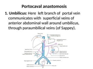 9 Portal-vein-an-portocaval-anastomosis.pptx