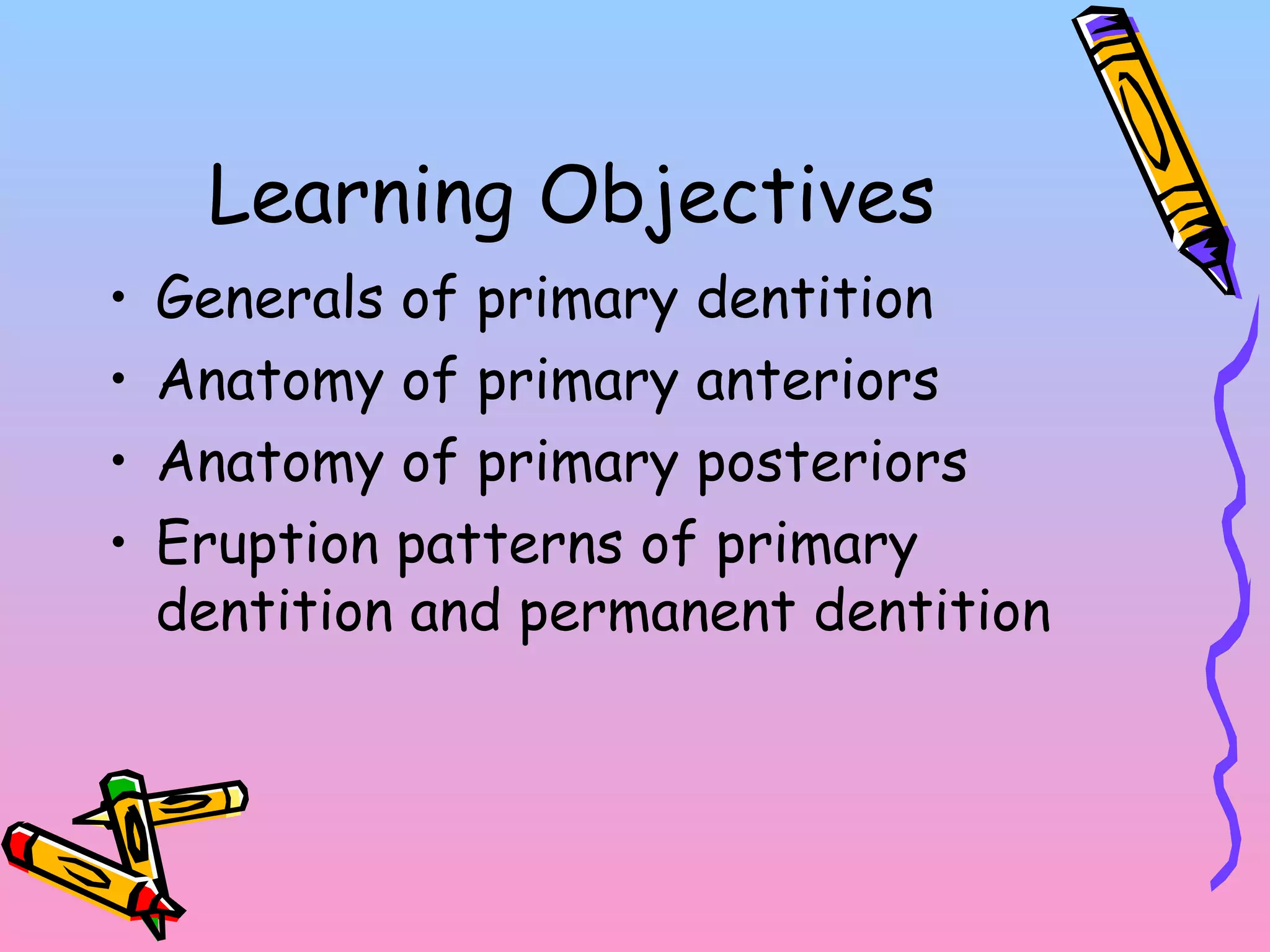 Primary Dentition and Eruption | PPT