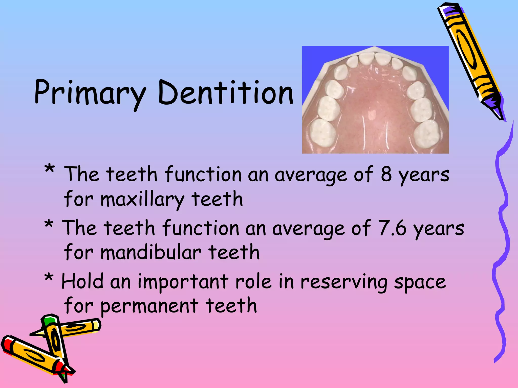 Primary Dentition and Eruption | PPT