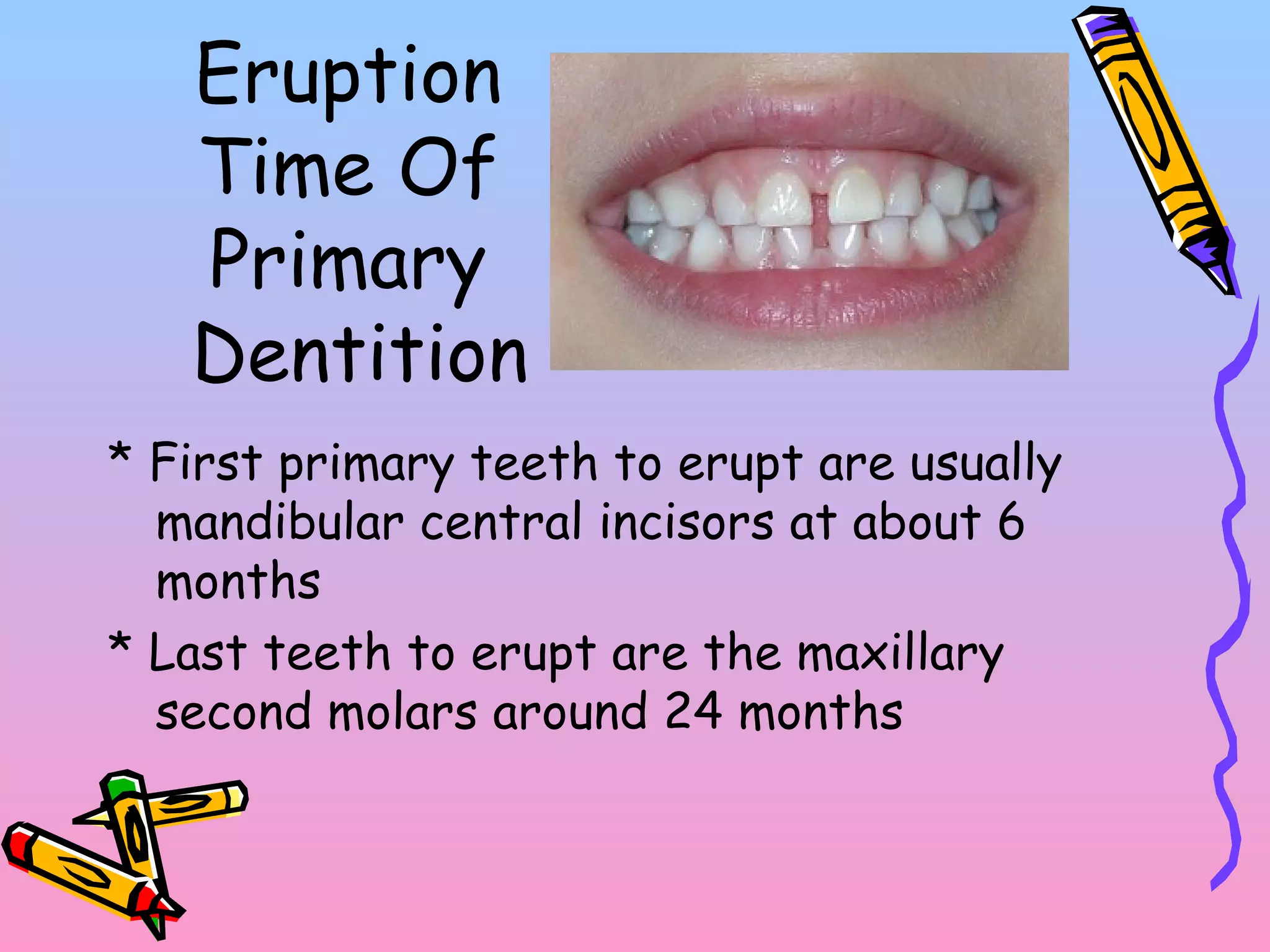 Primary Dentition and Eruption | PPT