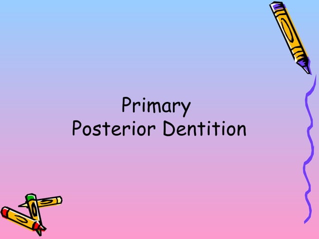 Primary Dentition and Eruption | PPT