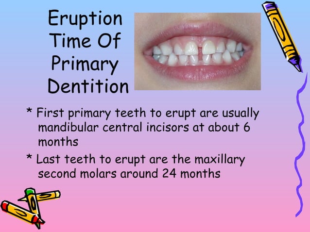 Primary Dentition and Eruption | PPT