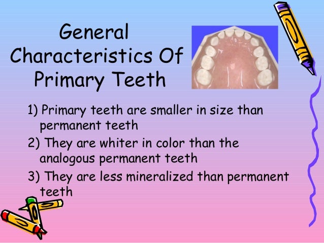 Primary Dentition and Eruption
