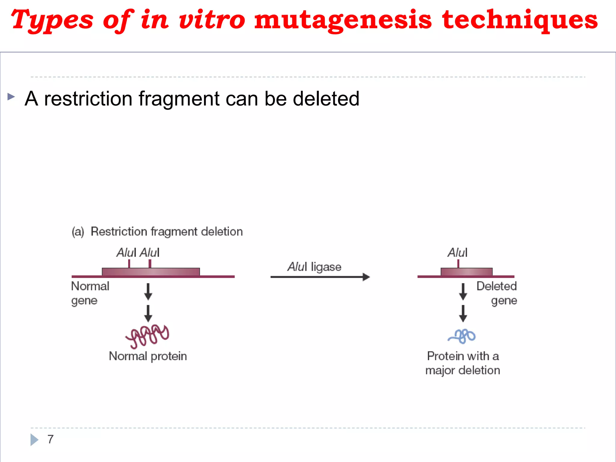 protein engineering and site directed mutagenesis | PPT