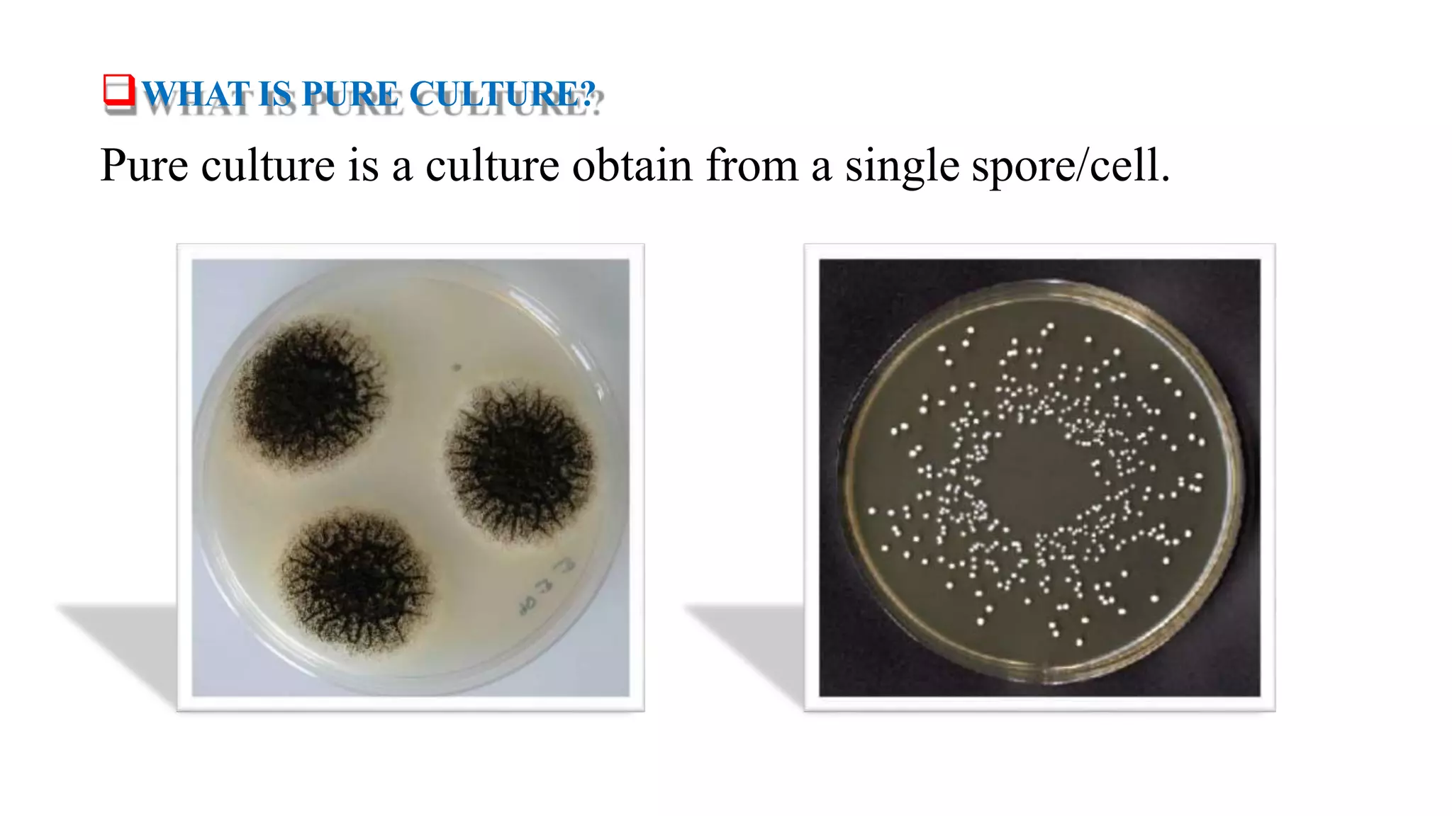 Preservation of pure culture | PPTX