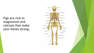 9 Reasons to Eat Figs | PDF