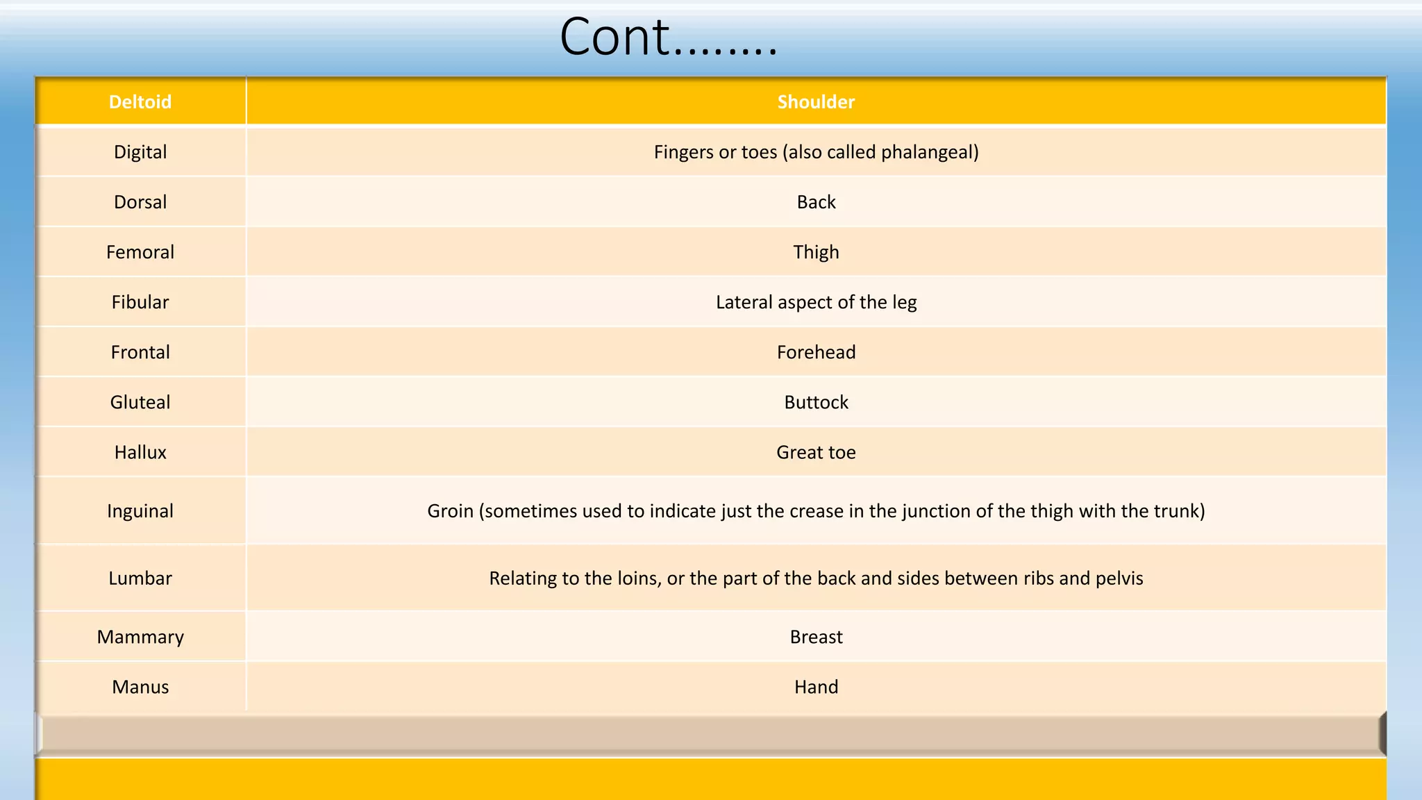 9 region of Abdomen | PPTX