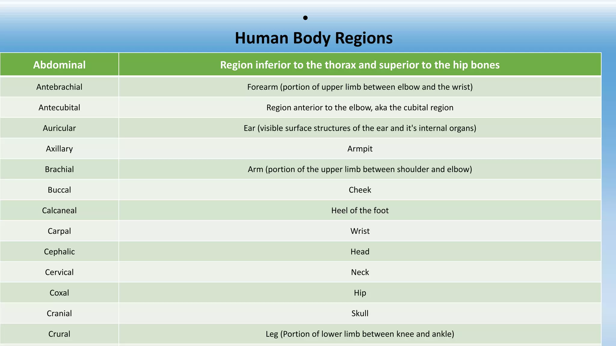 9 region of Abdomen | PPTX