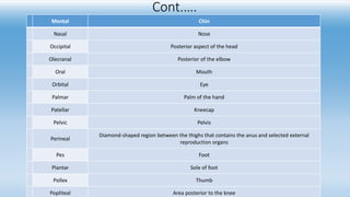 9 region of Abdomen | PPTX