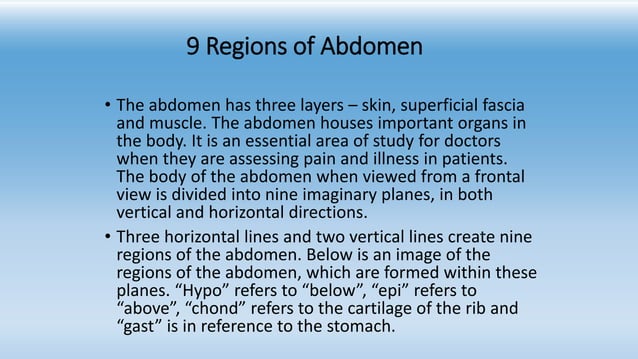 9 region of Abdomen | PPTX