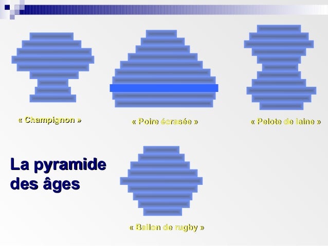9 reporting pilotage_donnees_sociales