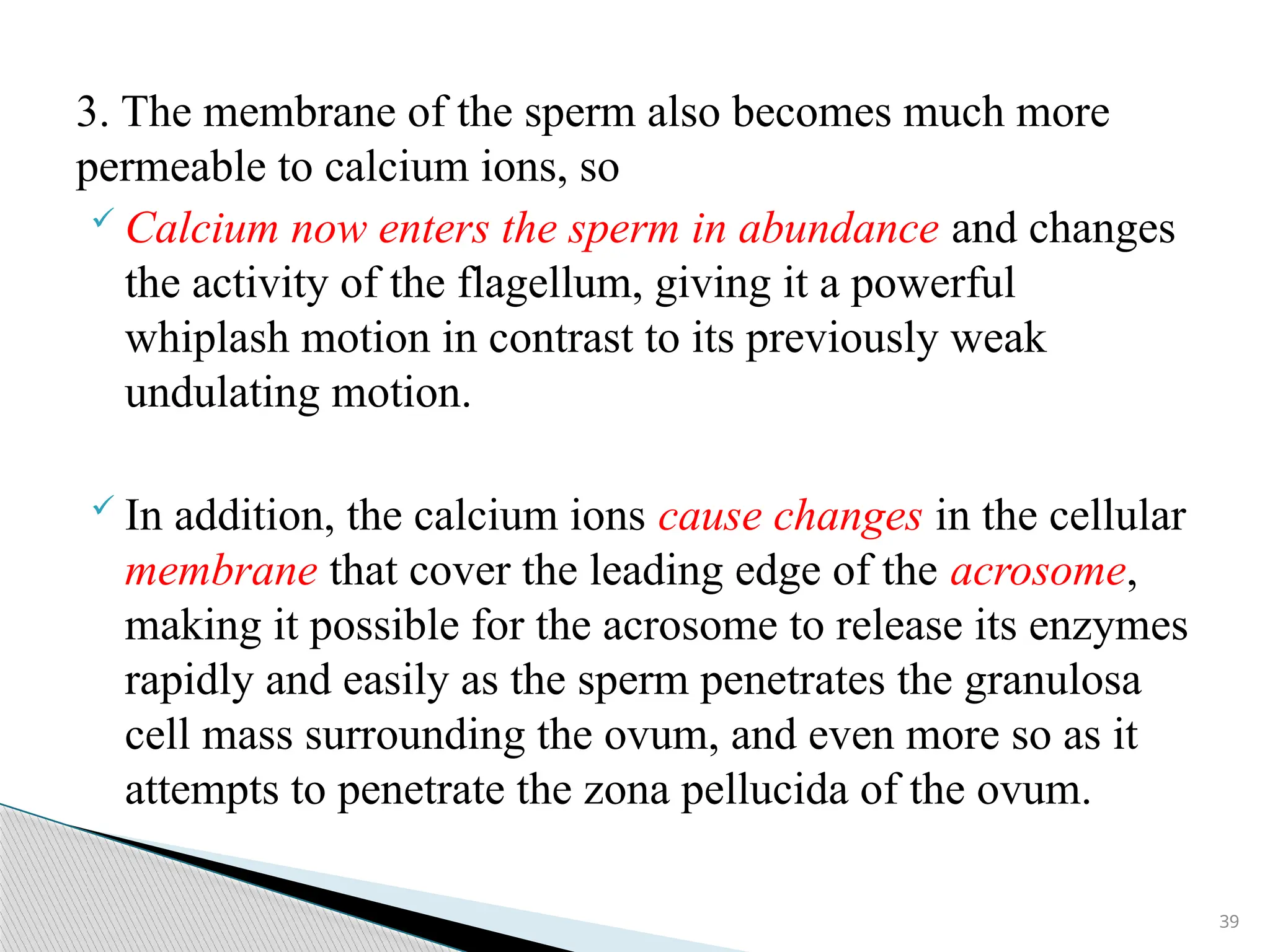 Reproductive system Physiology powerpoint.pptx