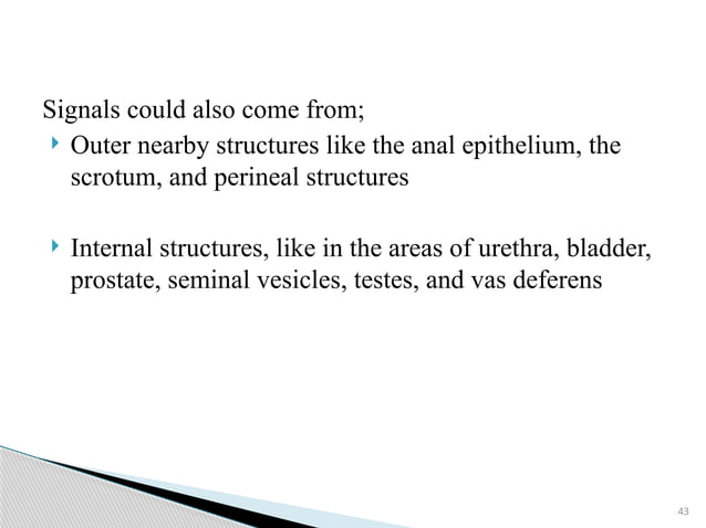 Reproductive system Physiology powerpoint.pptx