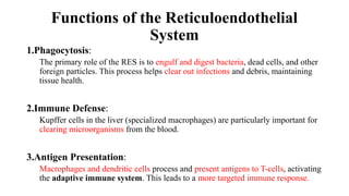 DPT - Physiology - II (Blood Physiology) Reticuloendothelial systems | PPT