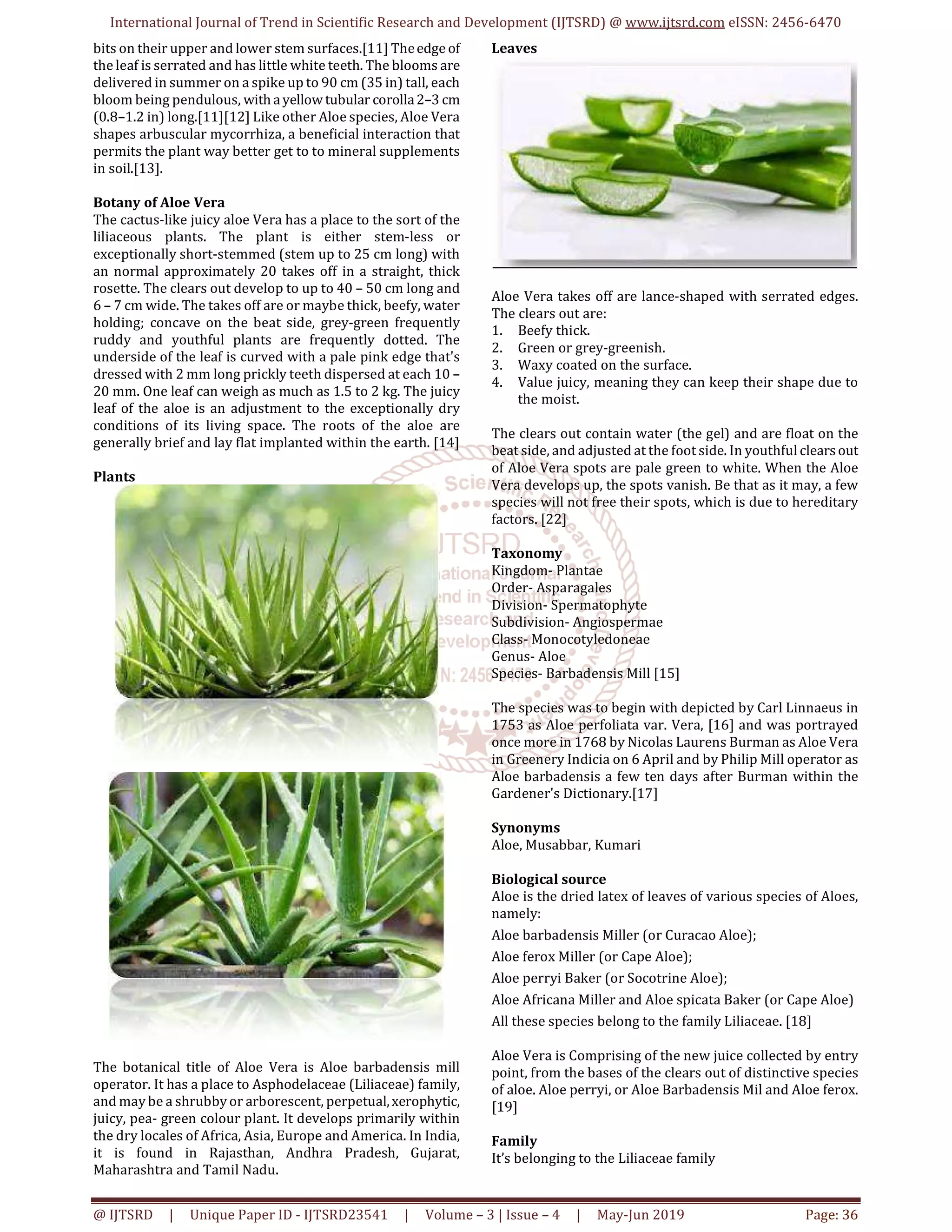 Review on Aloe Vera | PDF
