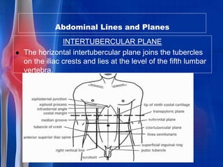 Intertubercular Plane