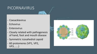 ROLE OF VIRUSES IN PERIODONTAL DISEASES | PPTX