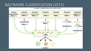 ROLE OF VIRUSES IN PERIODONTAL DISEASES | PPTX