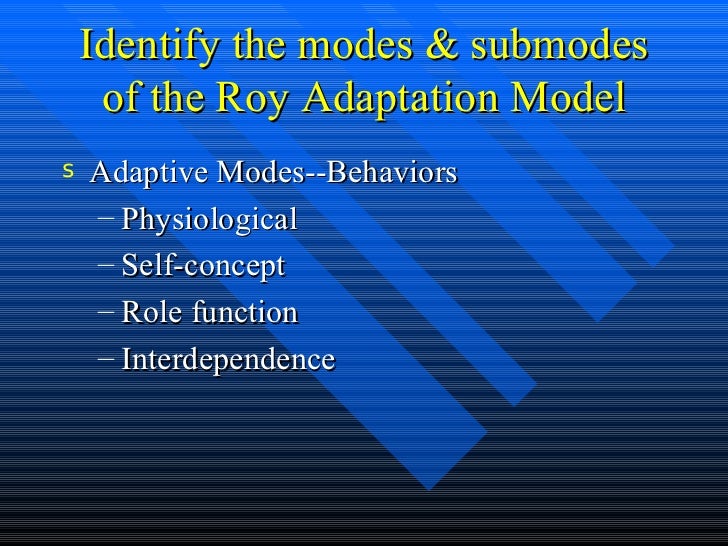 Sister Calista Roy Adaptation Model