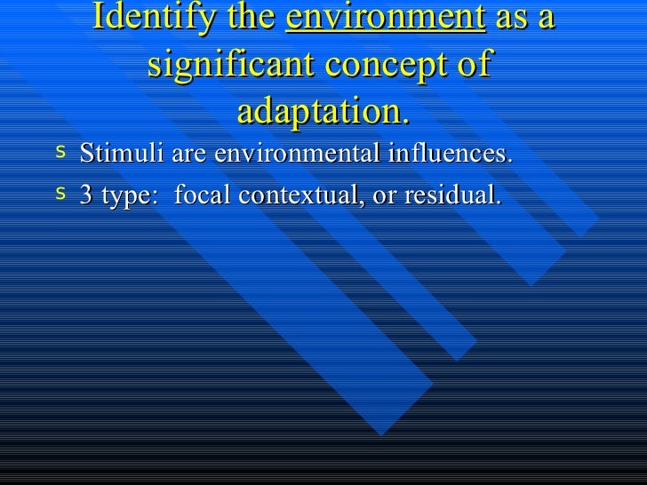 Sister Calista Roy Adaptation Model