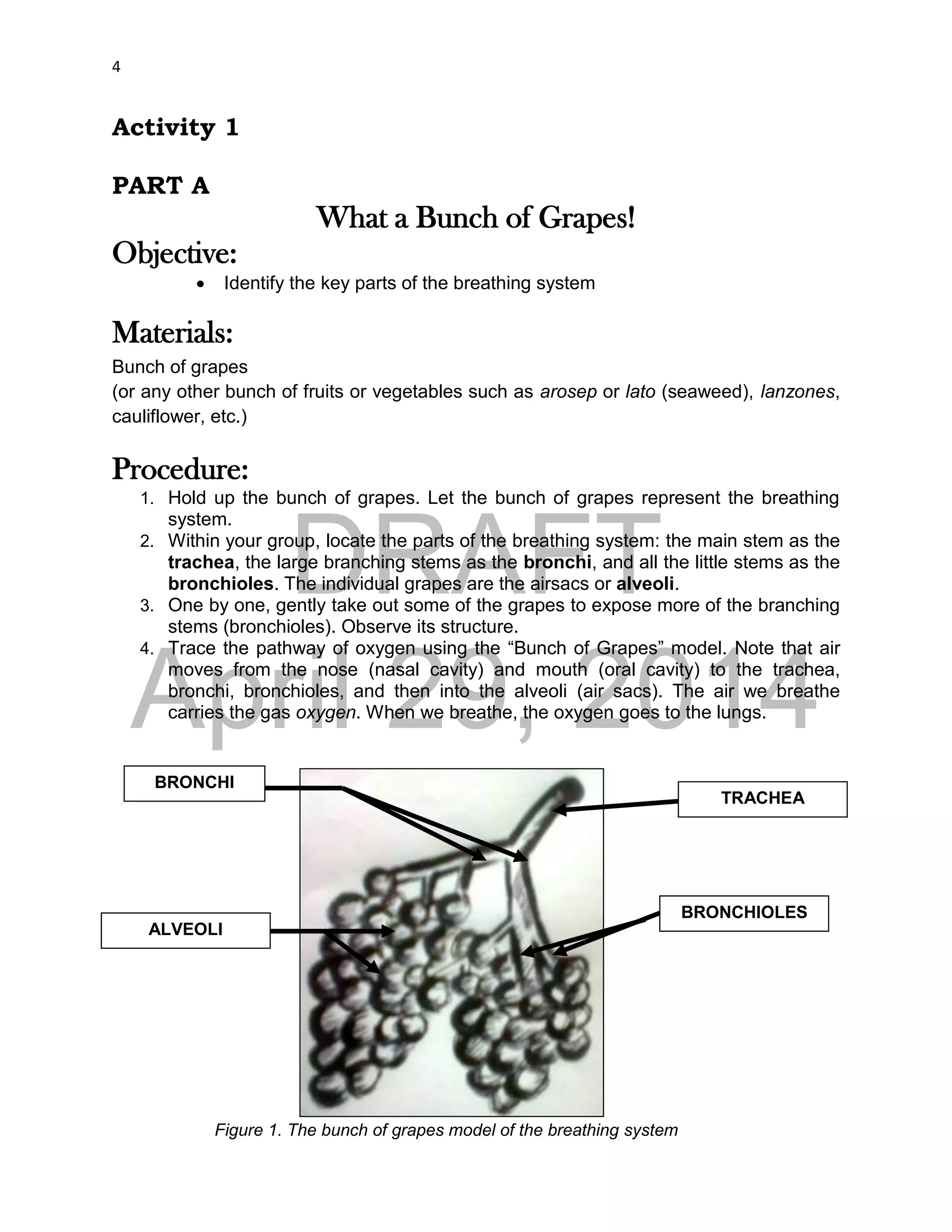 Grade 9 Learning Module in Science - Complete | PDF | Lung and ...