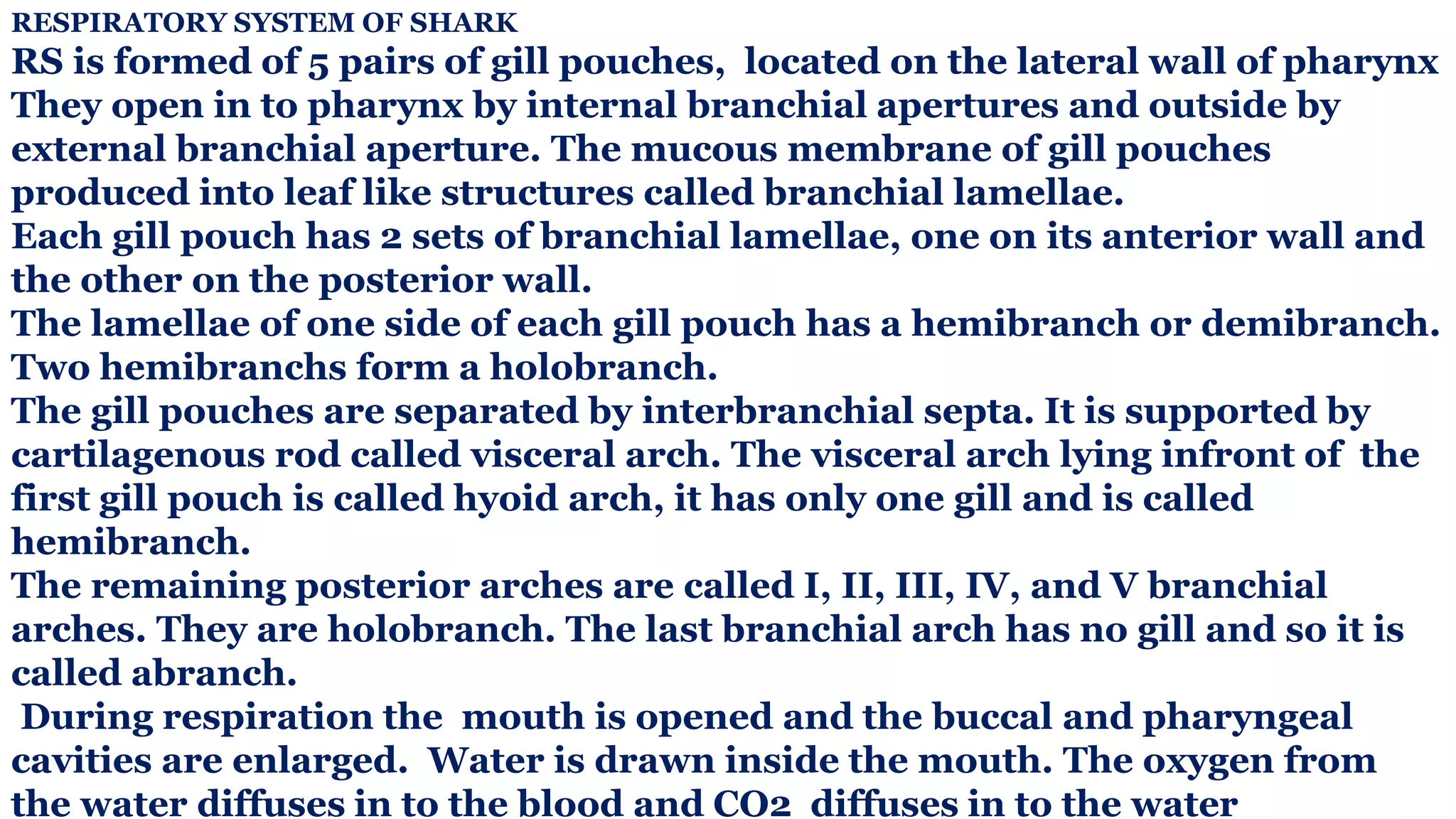 9 SHARK Respiration.pptx