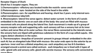 9 SHARK Respiration.pptx